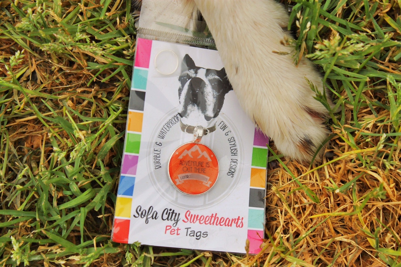 Retro Bird Woof or Meow Silver Custom Personalized Dog ID Pet | Etsy