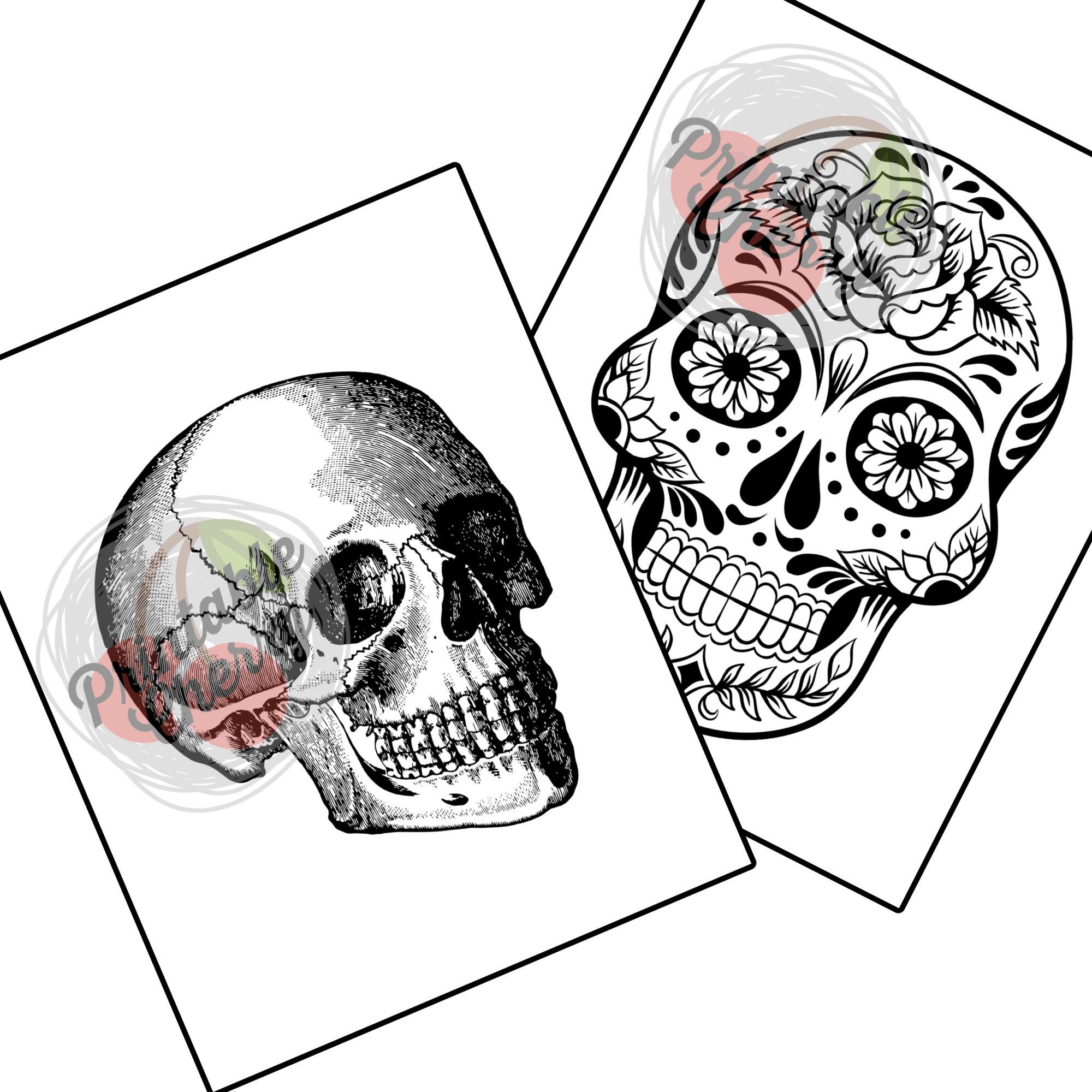 10 Skull Coloring Pages - PDF Download & Printable - Etsy