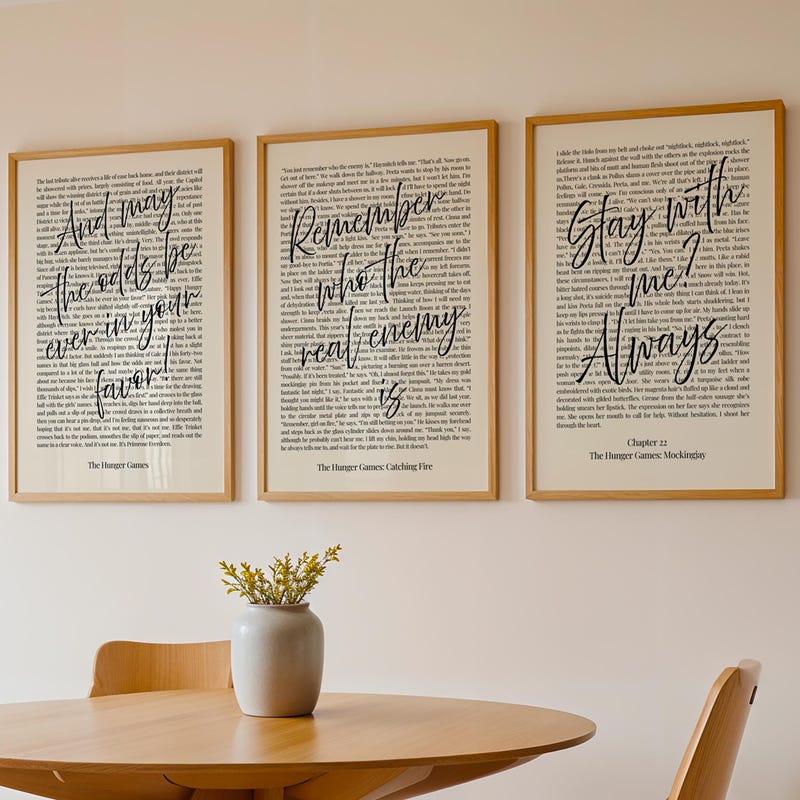 Book Set Hungergames - Etsy UK