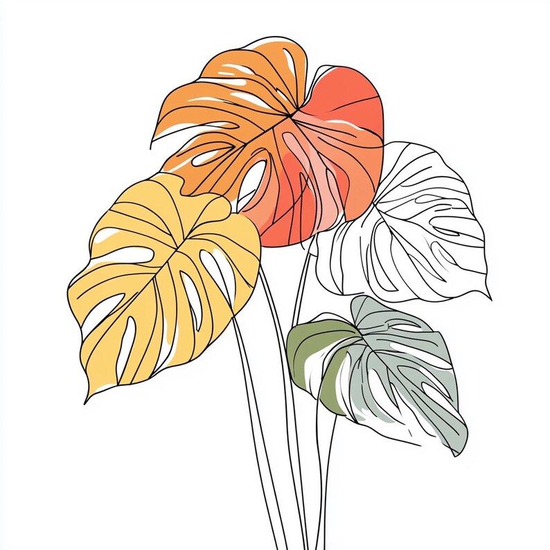 Monstera Plant Colored Line Art Design - Etsy