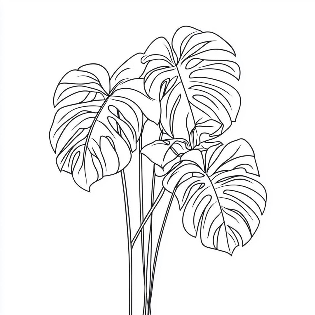 Monstera Plant Line Art Design - Etsy