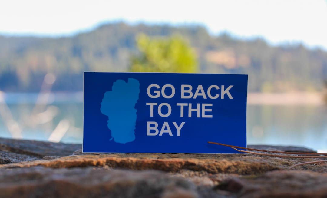 Go Back to the Bay - Etsy