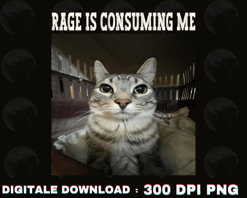 Rage Consumes Me Cat Meme PNG, Staring Cat Design, Rage Consumes Me PNG ...