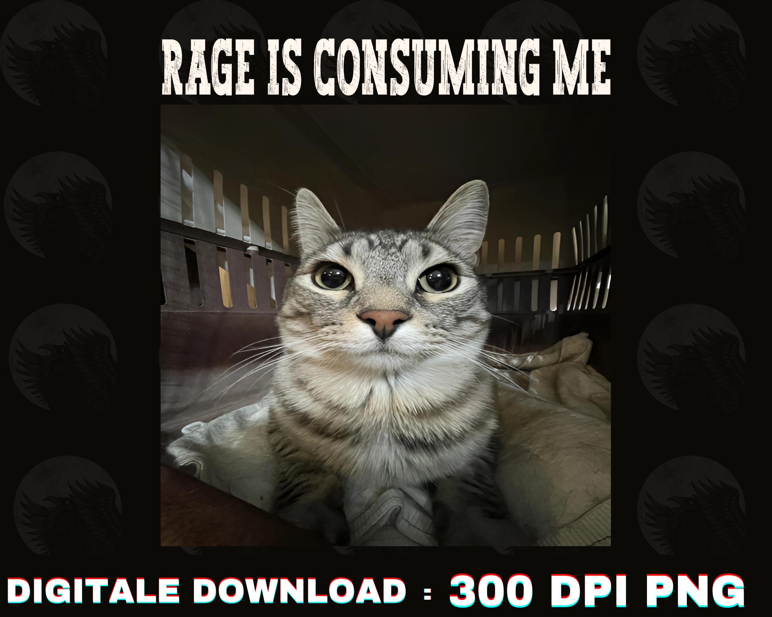 Rage Consumes Me Cat Meme PNG, Staring Cat Design, Rage Consumes Me PNG ...