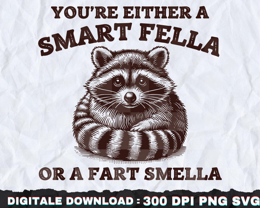 You're Either A Smart Fella or A Fart Smella, Funny Raccoon Png, Adult ...
