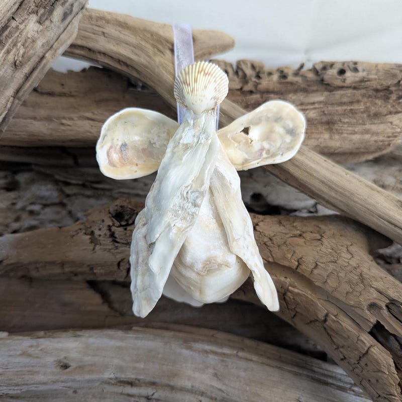 Shell Angel - Etsy