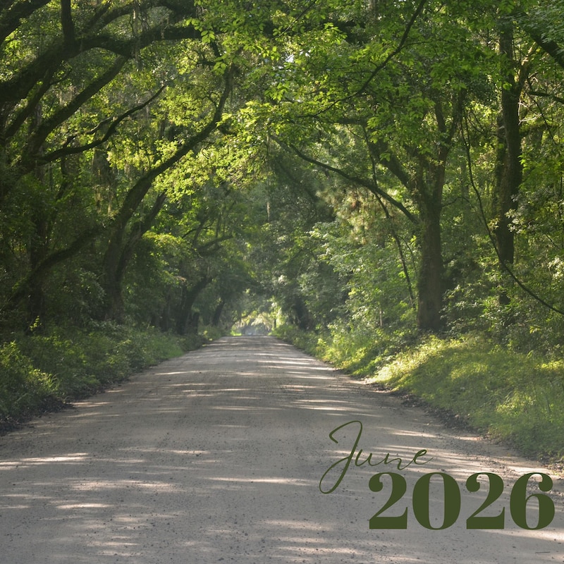 Ocean Theme Calendar 2026 - Etsy