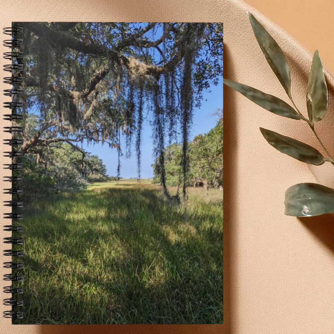 Spanish Moss in the Marsh Lined Spiral Notebook : 6x8 Notebook With ...