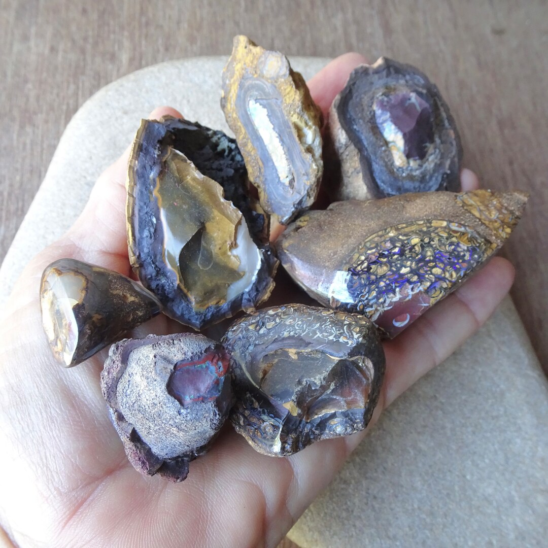 7 Yowah Nut Boulder Opal Specimen Set, 440 Grams Natural Untreated ...
