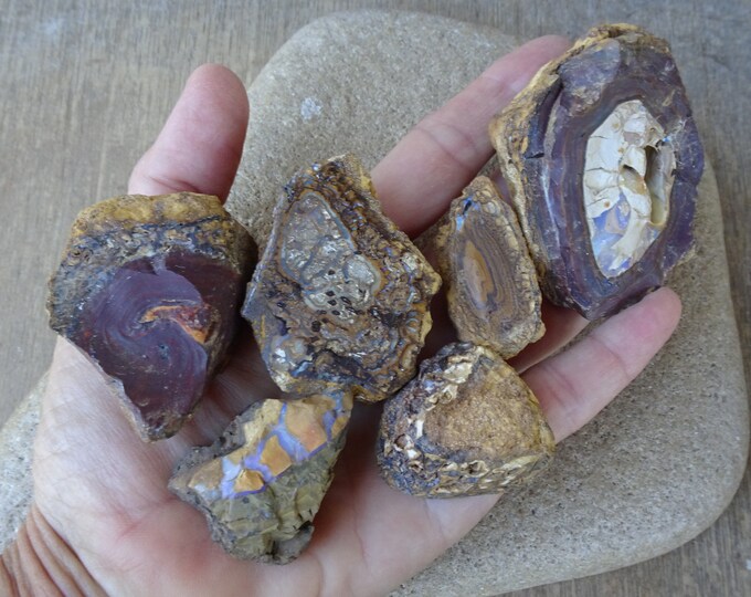 NaturesArtMelbourne | Etsy.de