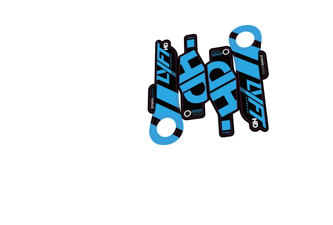Praxis Works CRANK Stickers Crank Arm Decal Protection Stickers MTB ...