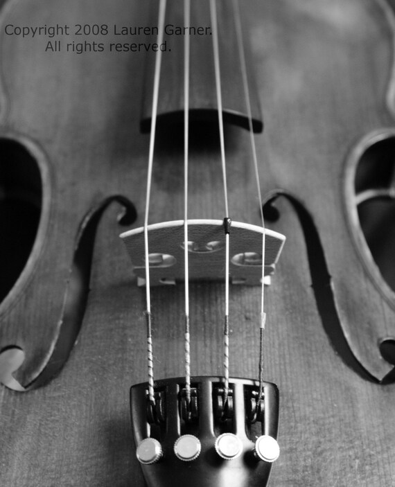 Violin Music Musician String Orchestra Photography Black and | Etsy
