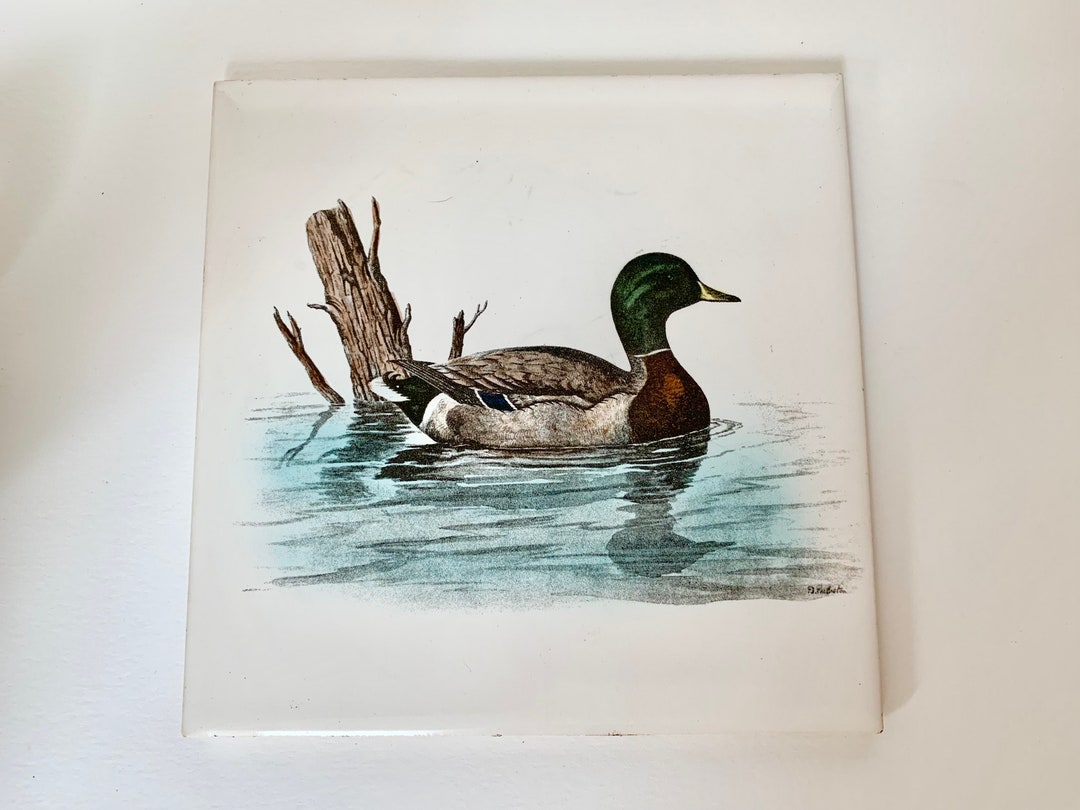 Delano Studios, Mallard Duck Tile, Vintage, Hand Colored, Bird Lover ...
