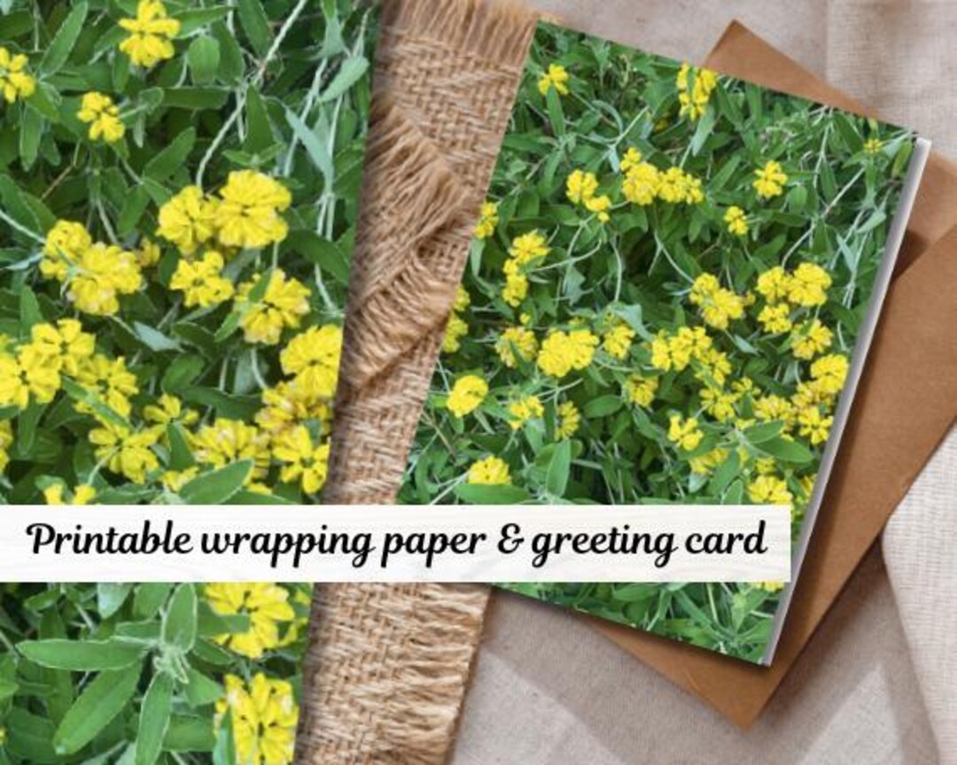 Printable Wrapping Paper Printable Greeting Card Set Gift Card Blank ...