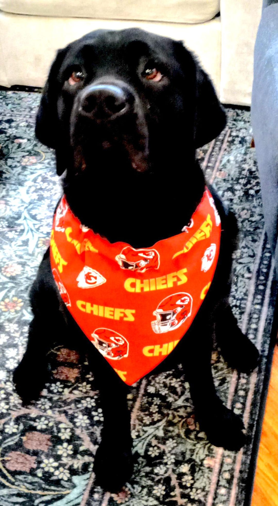 Kansas City Chiefs Over the Collar Bandana - Etsy