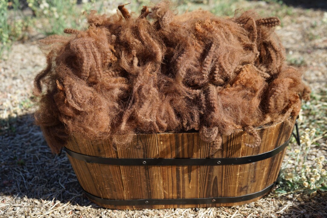 Huacaya Alpaca Fleece 200g, Medium Brown Colour, 100% Australian Raw ...