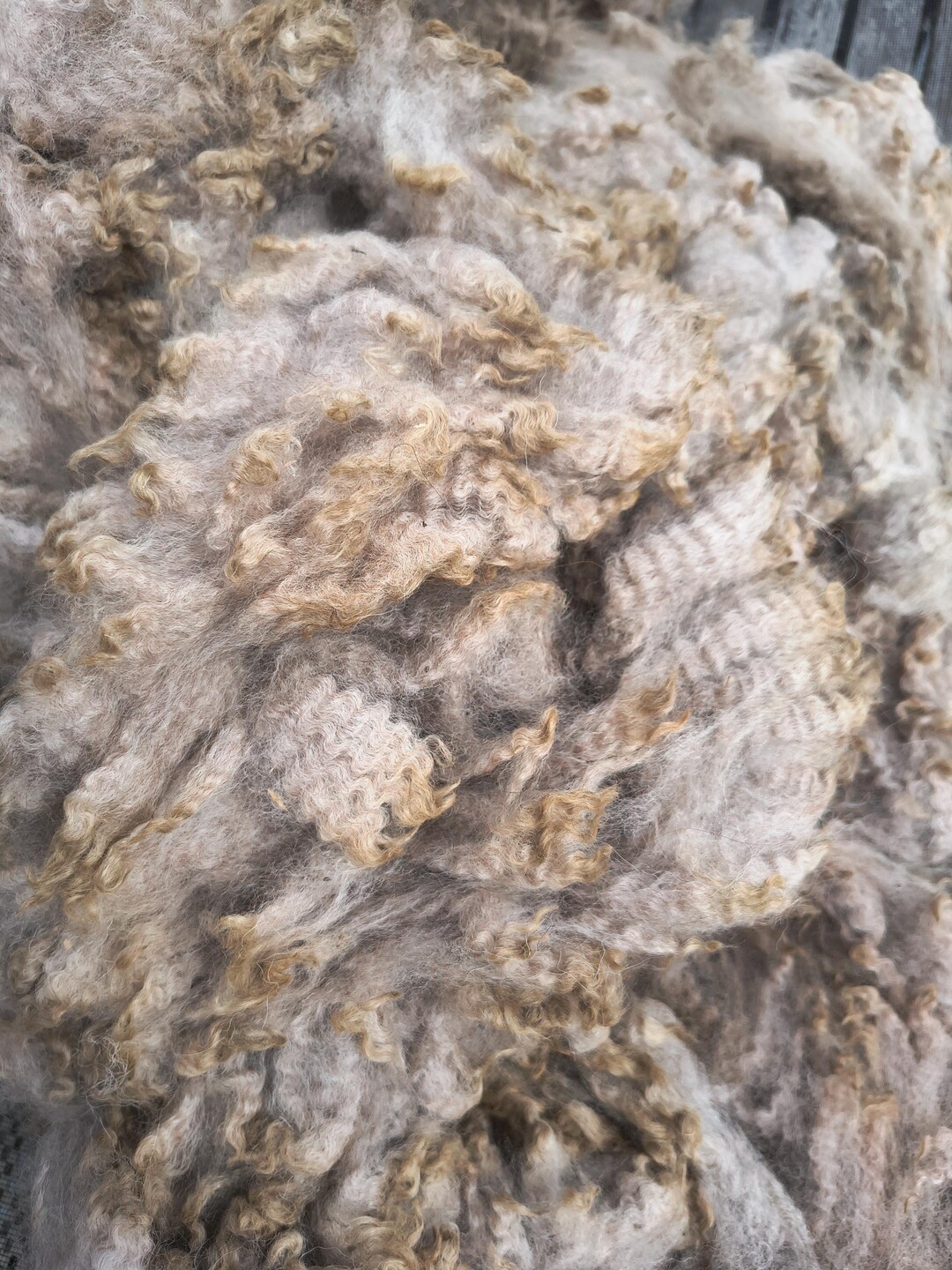 Huacaya Alpaca Fleece Wool 200g Crimpy Medium Grey Colour, Extra Fine ...