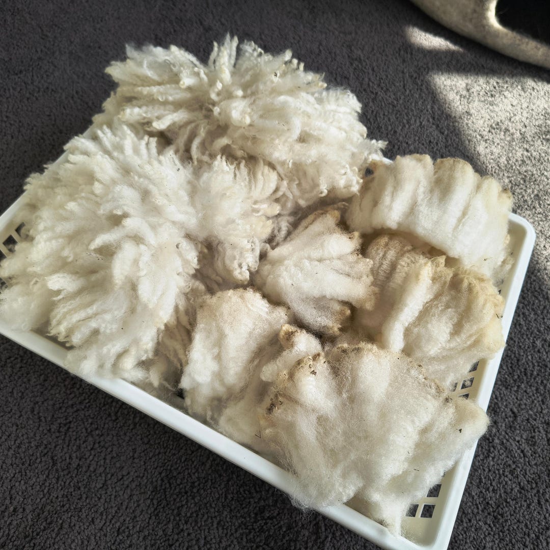 Washed Corriedale + Merino Fleece Raw Australian Wool, 200g, a Pack of ...