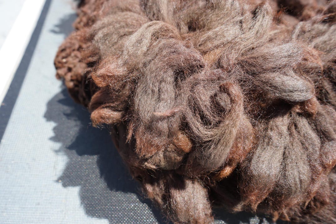 Huacaya Alpaca Fleece Wool 200g, Dark Brown Colour, 100% Australian Raw ...
