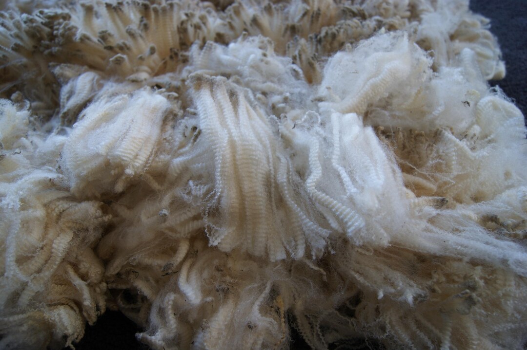 Merino Fleece Extra Fine and Super Soft, 200g, Unwashed, 9-12 Cm Staple ...