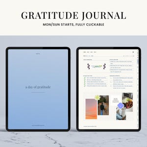 Digital Gratitude Journal Template Daily Affirmation Planner Wheel of ...