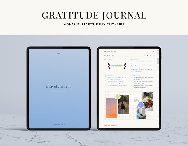 Digital Gratitude Journal Template Daily Affirmation Planner Wheel of ...