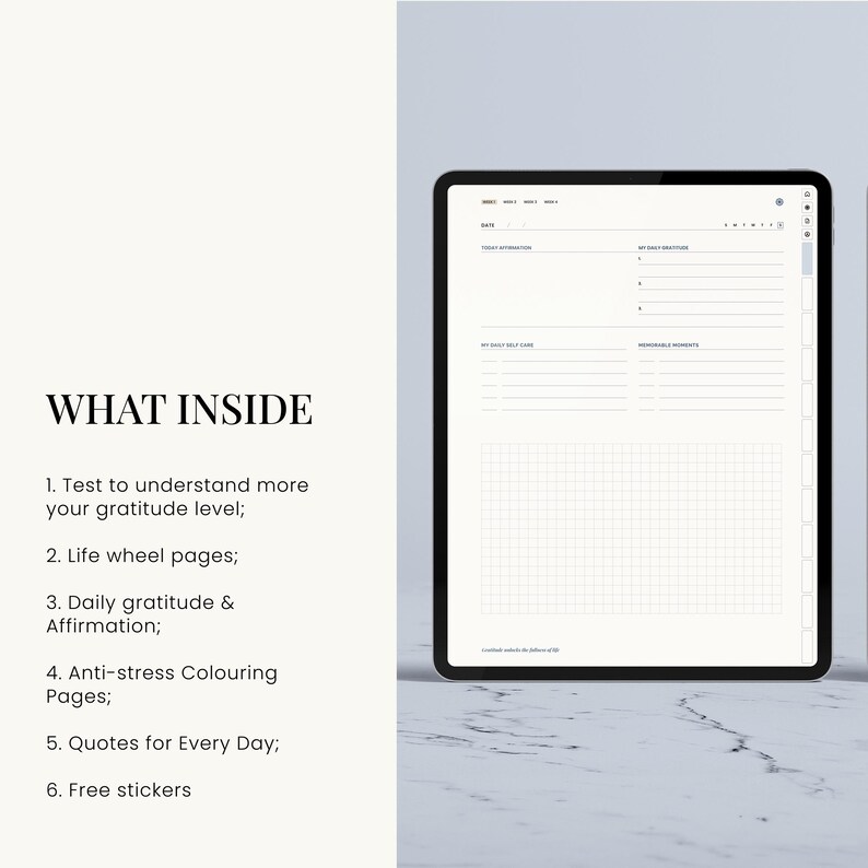 Digital Gratitude Journal Template Daily Affirmation Planner Wheel of ...