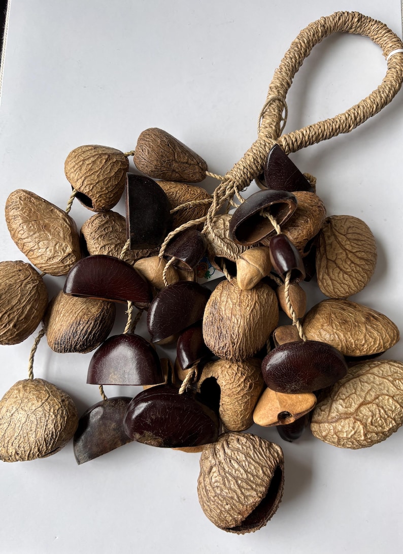 Mixed Seed Shell Shaker: Natural Water Sound Chime - Etsy