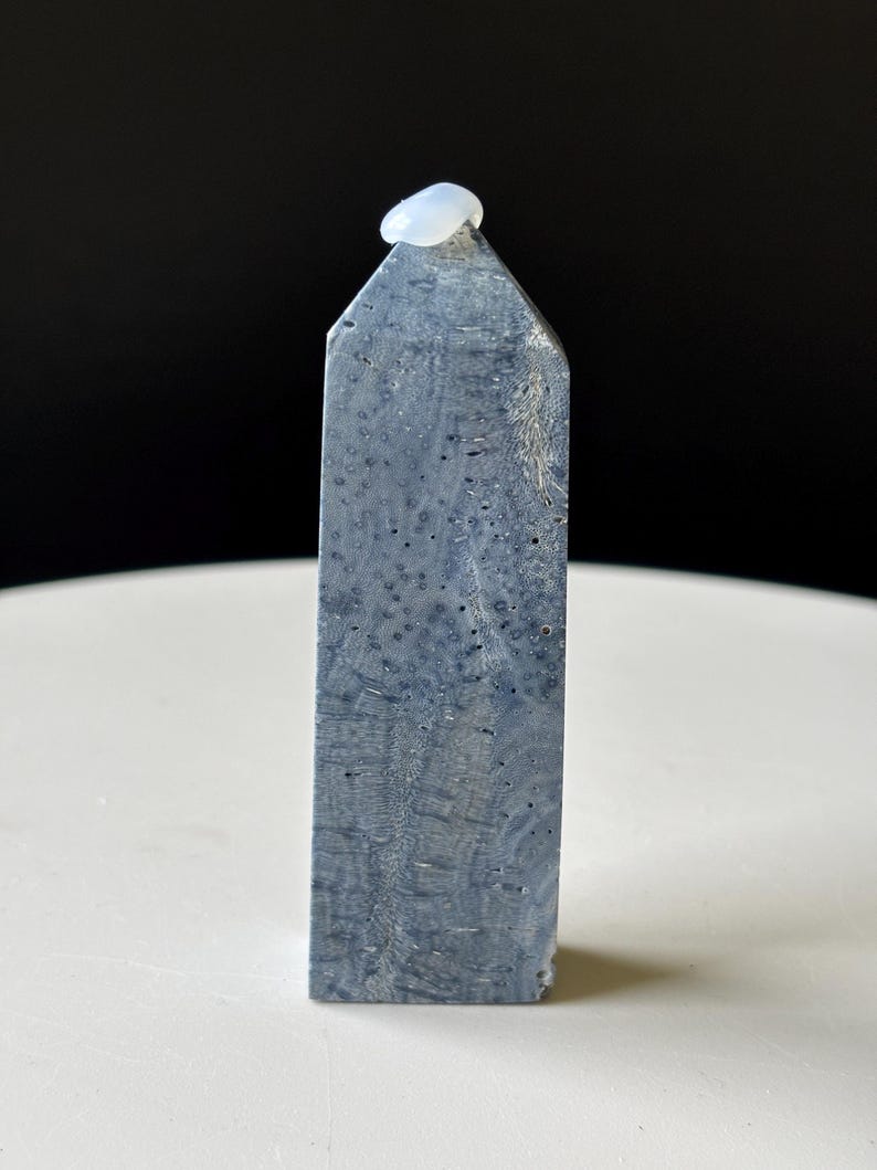 Blue Ridge Coral Tower – Natural Heliopora Coerulea Specimen, Coastal ...