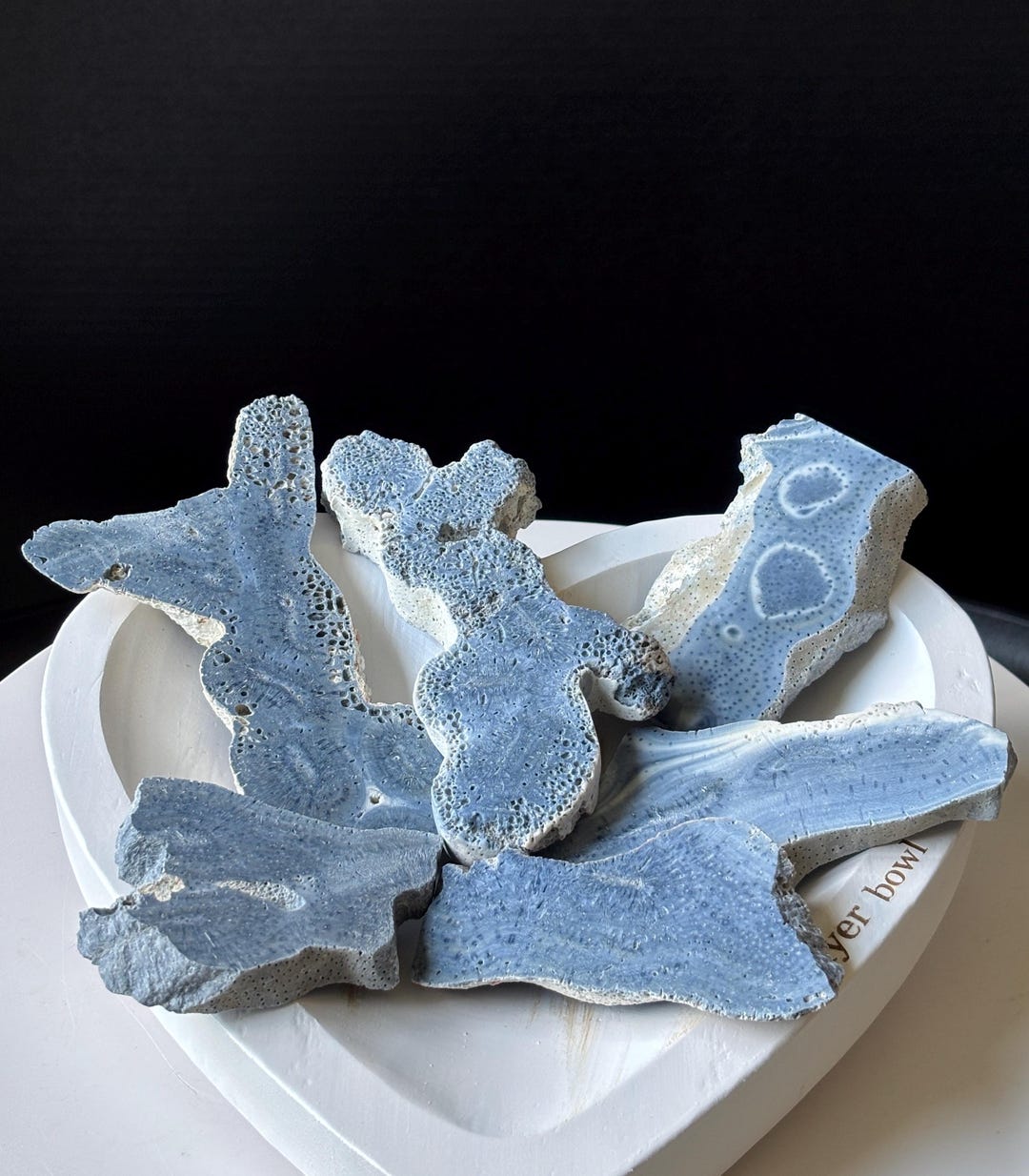 Blue Ridge Coral Slab: Natural Heliopora Coerulea Specimen, Coastal ...
