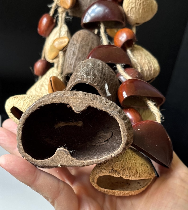 Mixed Seed Shell Shaker: Natural Water Sound Chime - Etsy