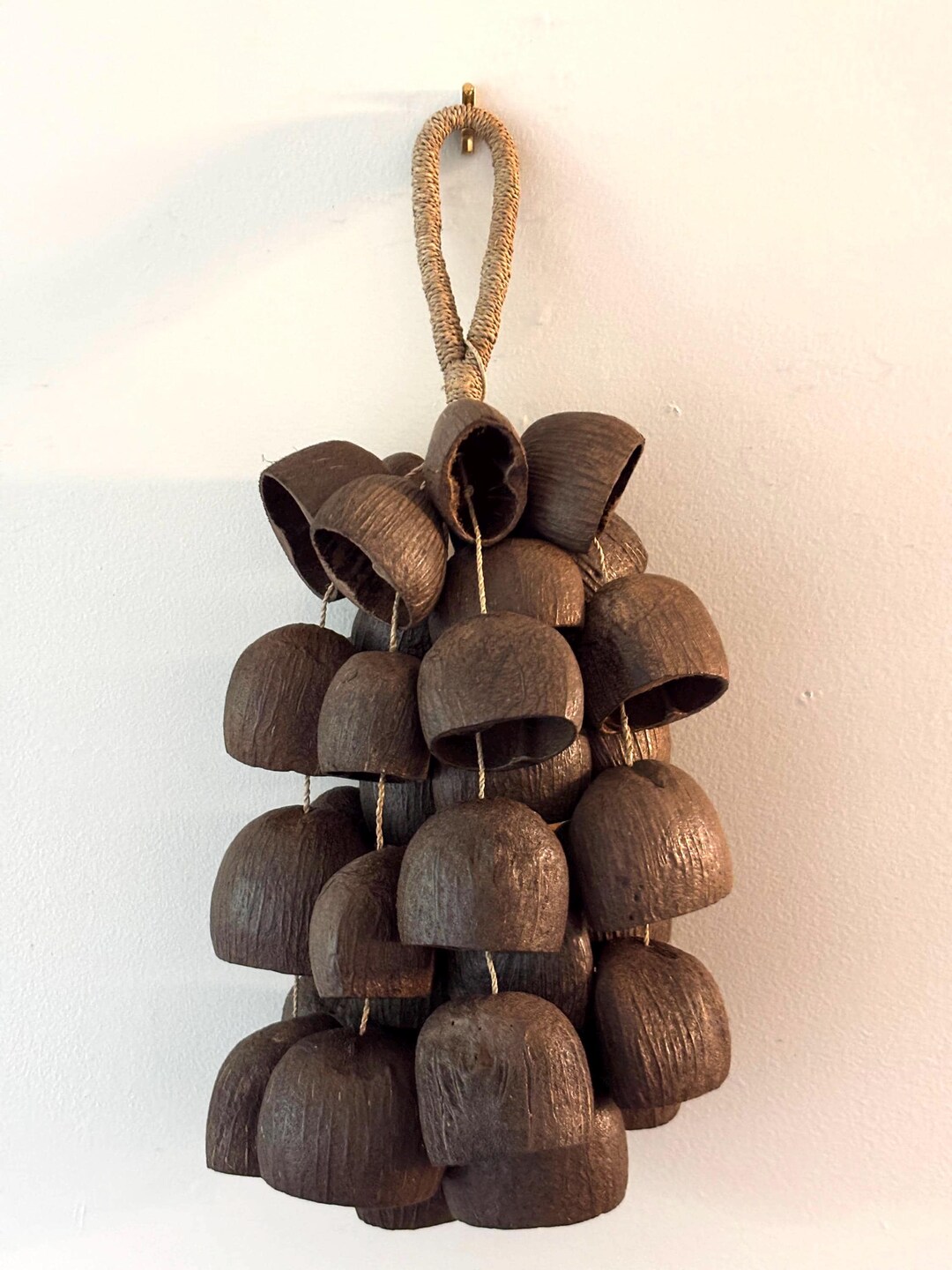 Salin Seed Shell Shaker: Natural Water Sound Chime - Home Decor ...