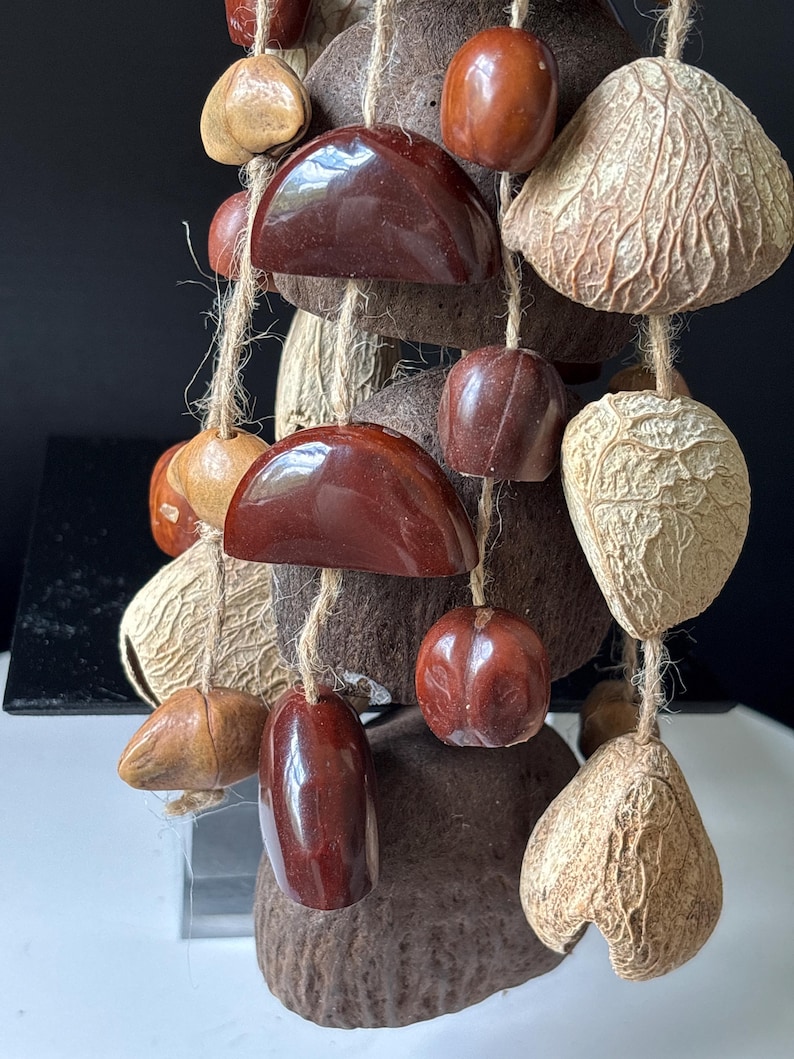 Mixed Seed Shell Shaker: Natural Water Sound Chime - Etsy