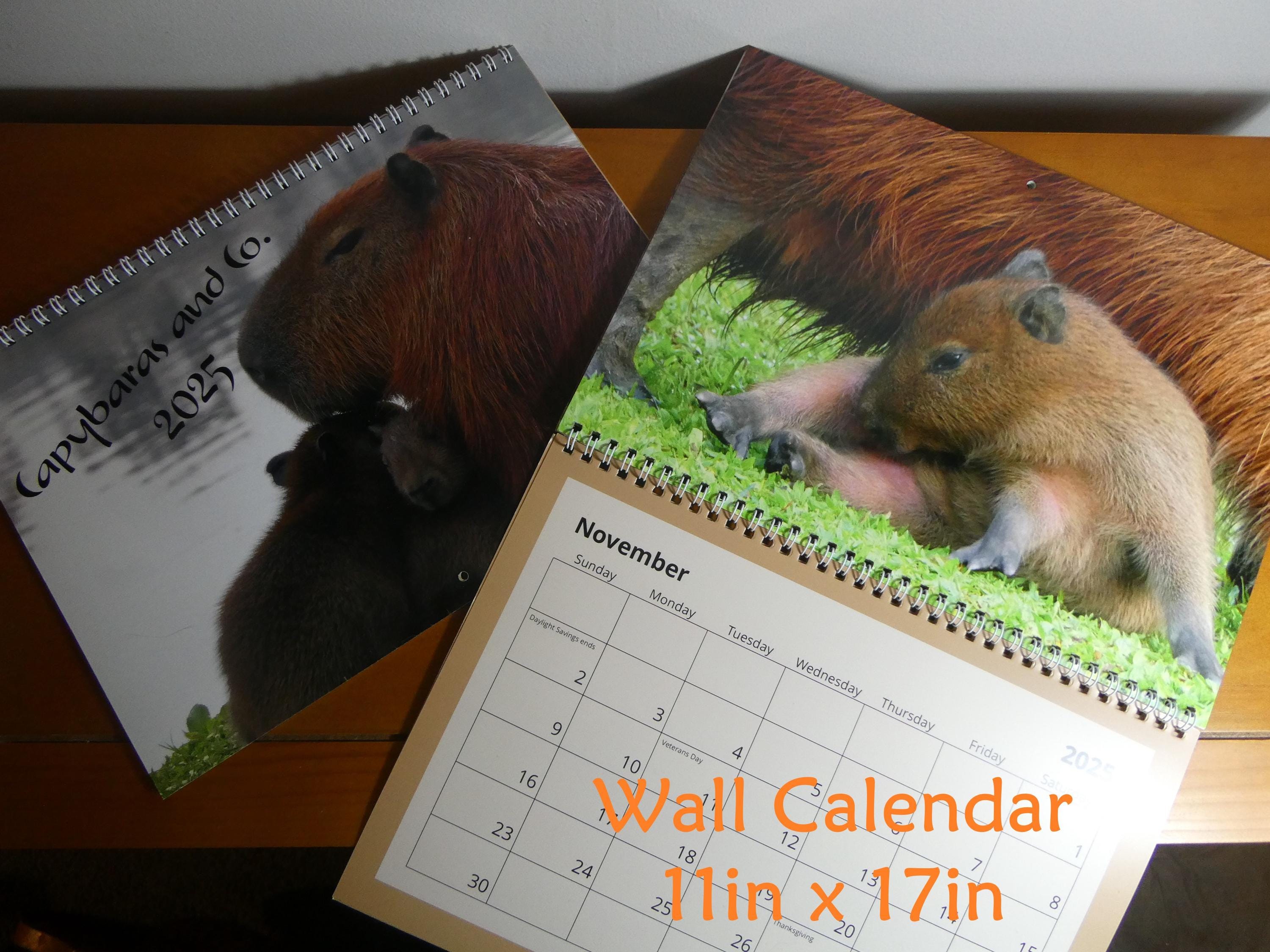 Capybara Calendar Desk and Wall Options Do 2025 Right With Adorable ...