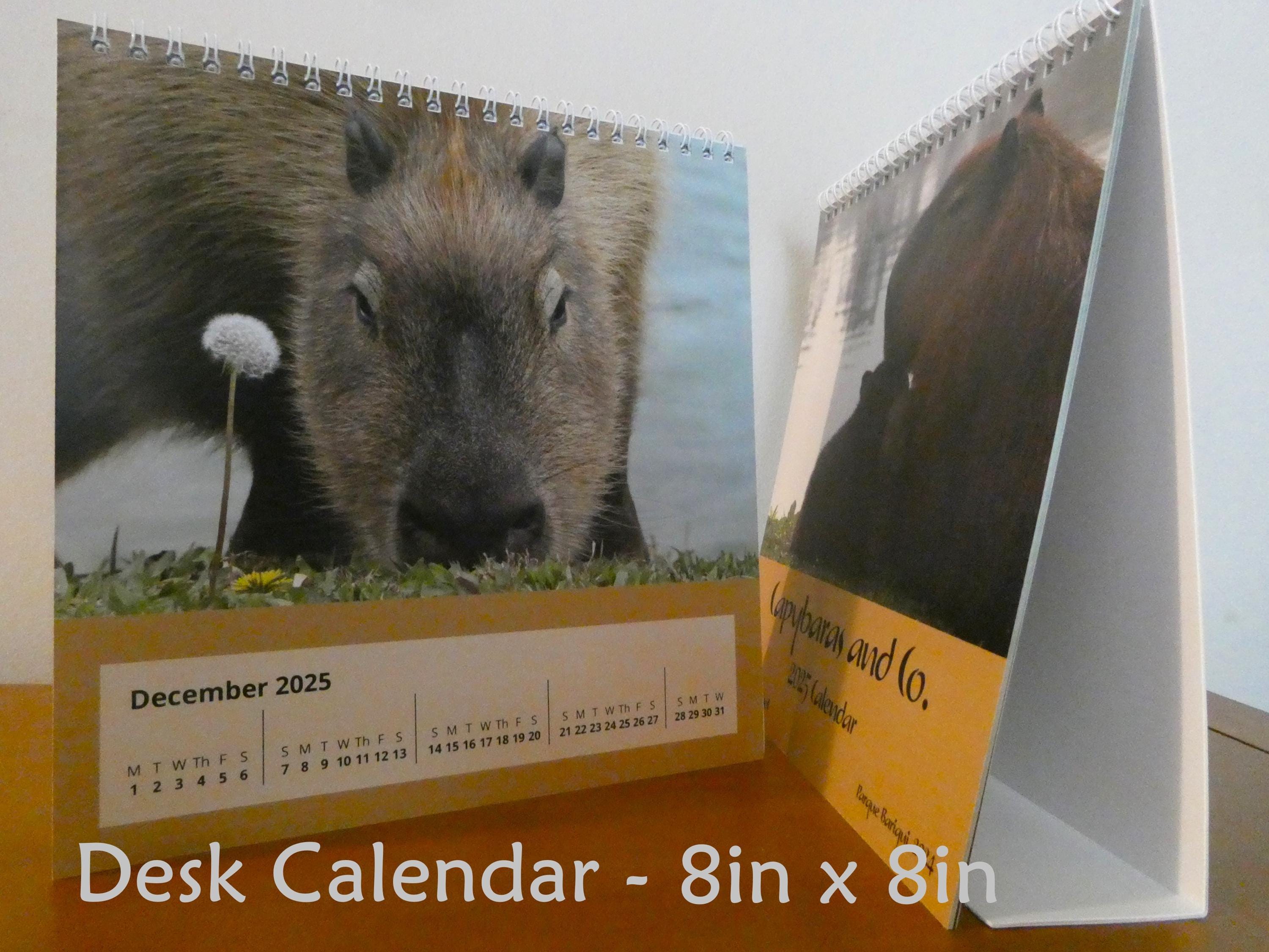 Capybara Calendar Desk and Wall Options Do 2025 Right With Adorable ...