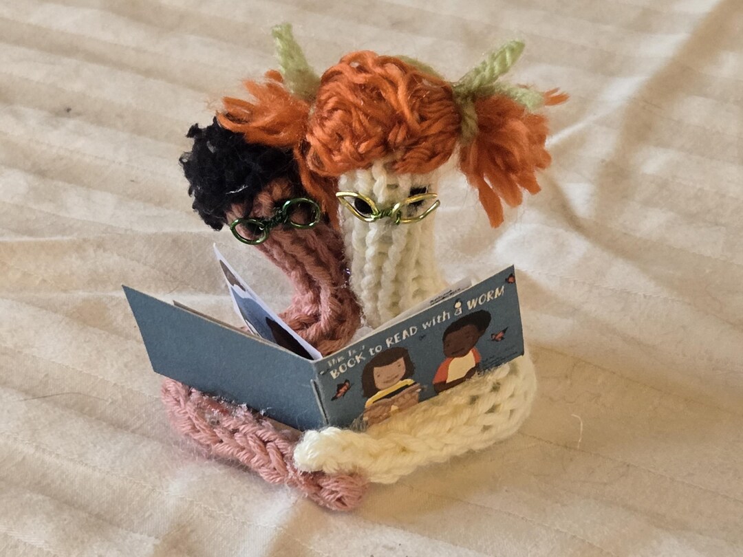 Knitted Bookworm Buddies, Reading "this is a Book to Read With a Worm ...