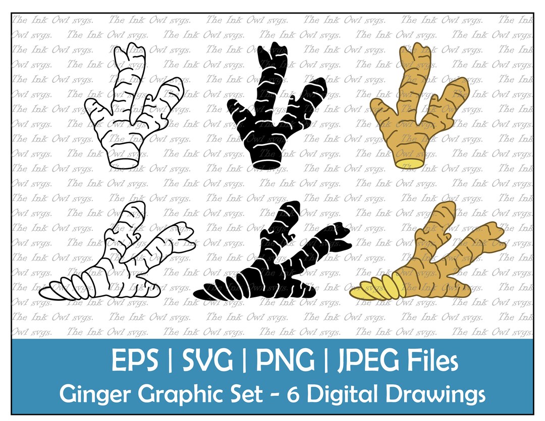 Ginger Vector Clipart Set / Outline & Stamp Drawing Illustrations ...
