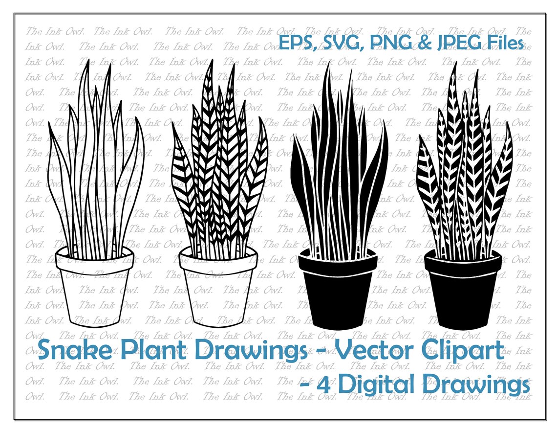 Snake Plant in a Pot Vector Clipart Set / Outline & Stamp Drawing ...