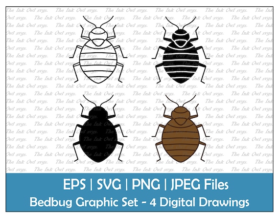 Bedbug Insect Vector Clipart / Outline & Stamp Drawing Graphic - Etsy