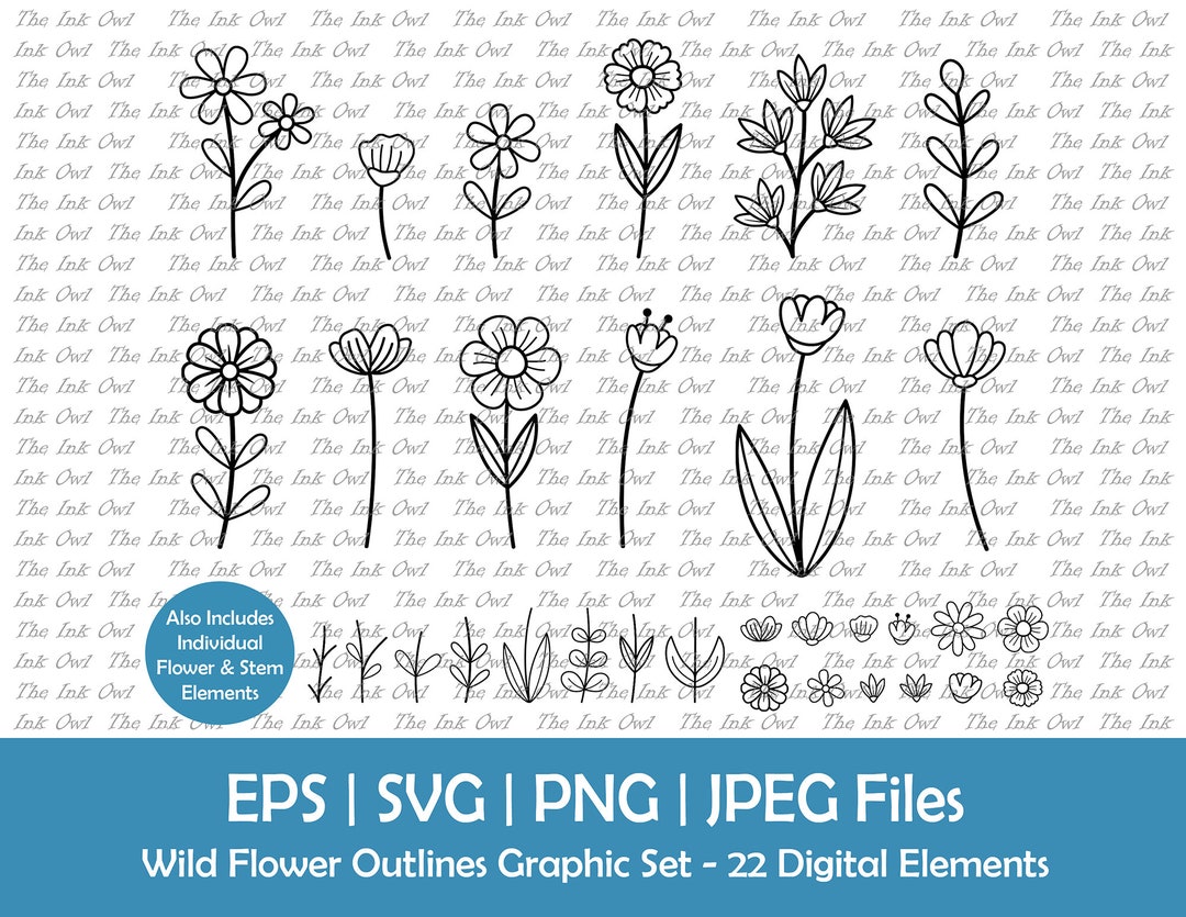 Wildflowers Vector Clipart Set / Outline Illustration Graphics / Floral ...