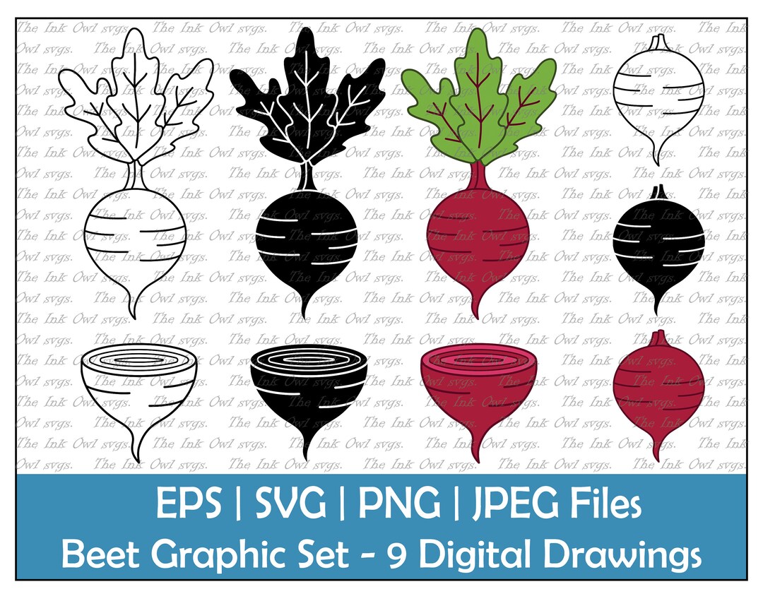 Beets Vector Clipart Set / Outline & Stamp Drawing Illustrations ...
