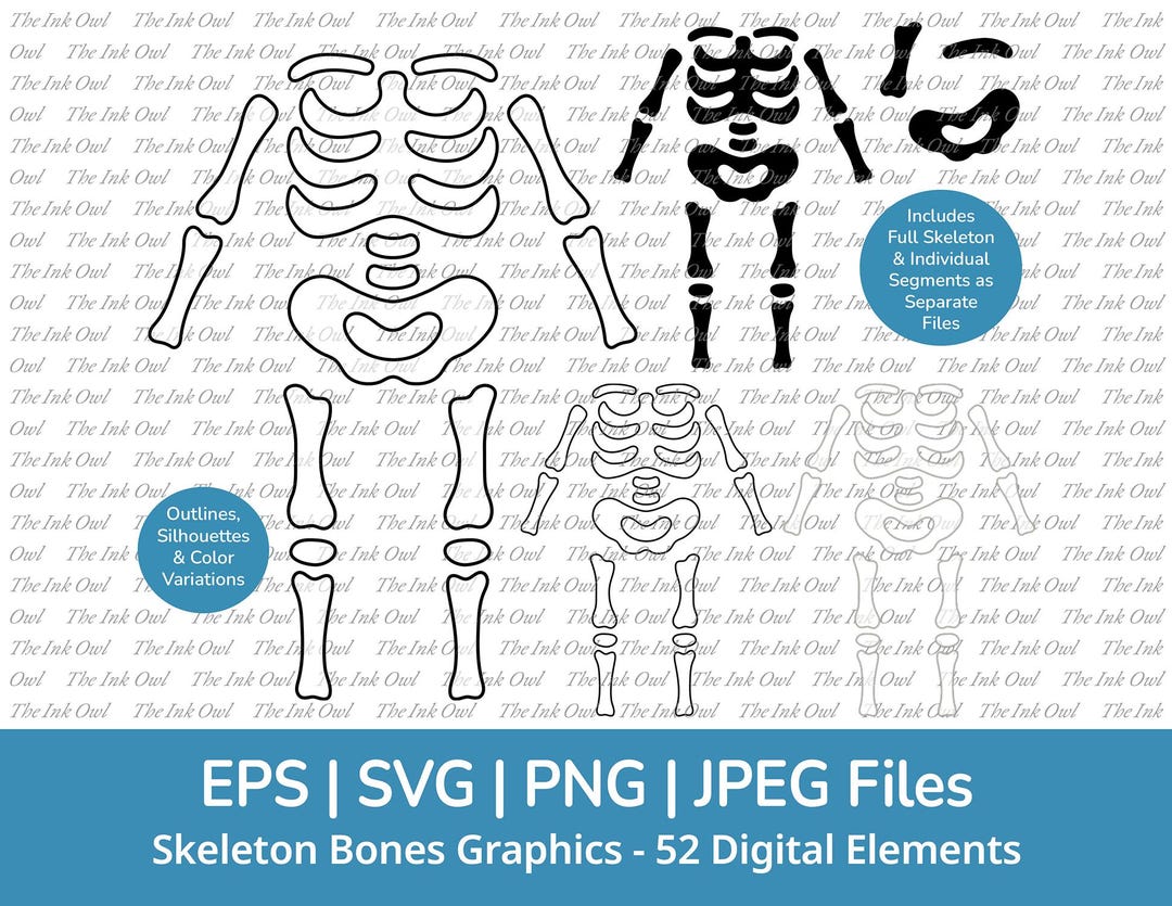 Skeleton Svg Template Clipart for Kids Halloween Costume / Outline ...