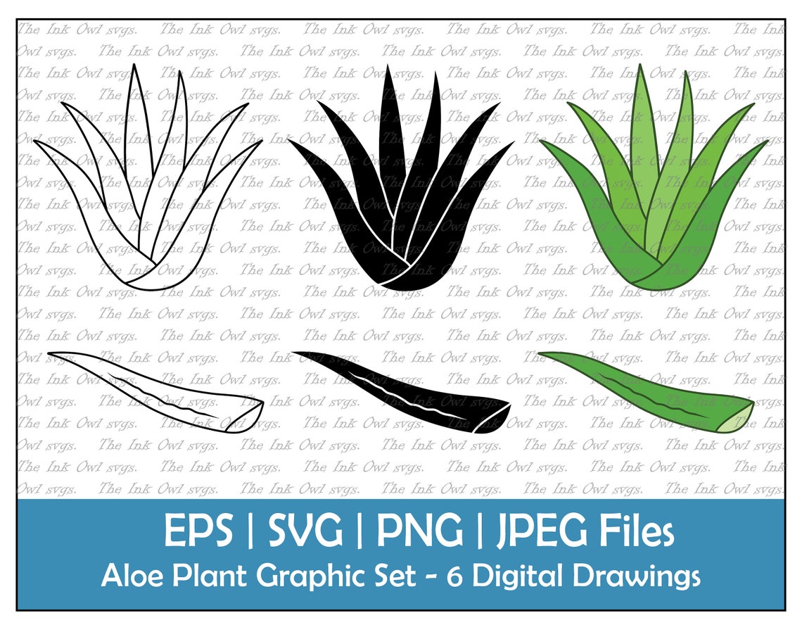 Aloe Plant and Leaf Vector Clipart Set / Outline & Stamp Drawing ...