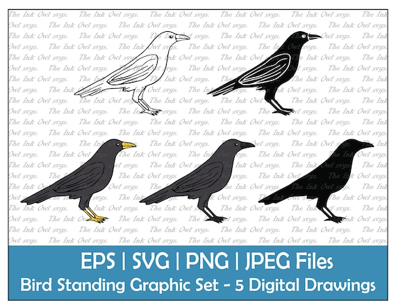 Esquema De Dibujo De Cuervo