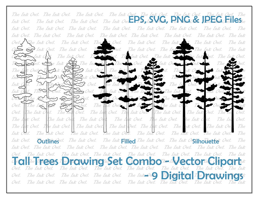 Tall Tree Vector Clipart Combo Set / Forest Line Drawing & Stamp ...
