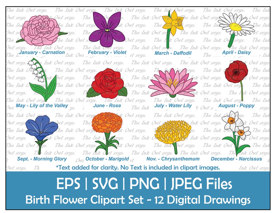 Birth Flower Vector Clipart Set / Color Drawing Graphics / Rose, Lily ...