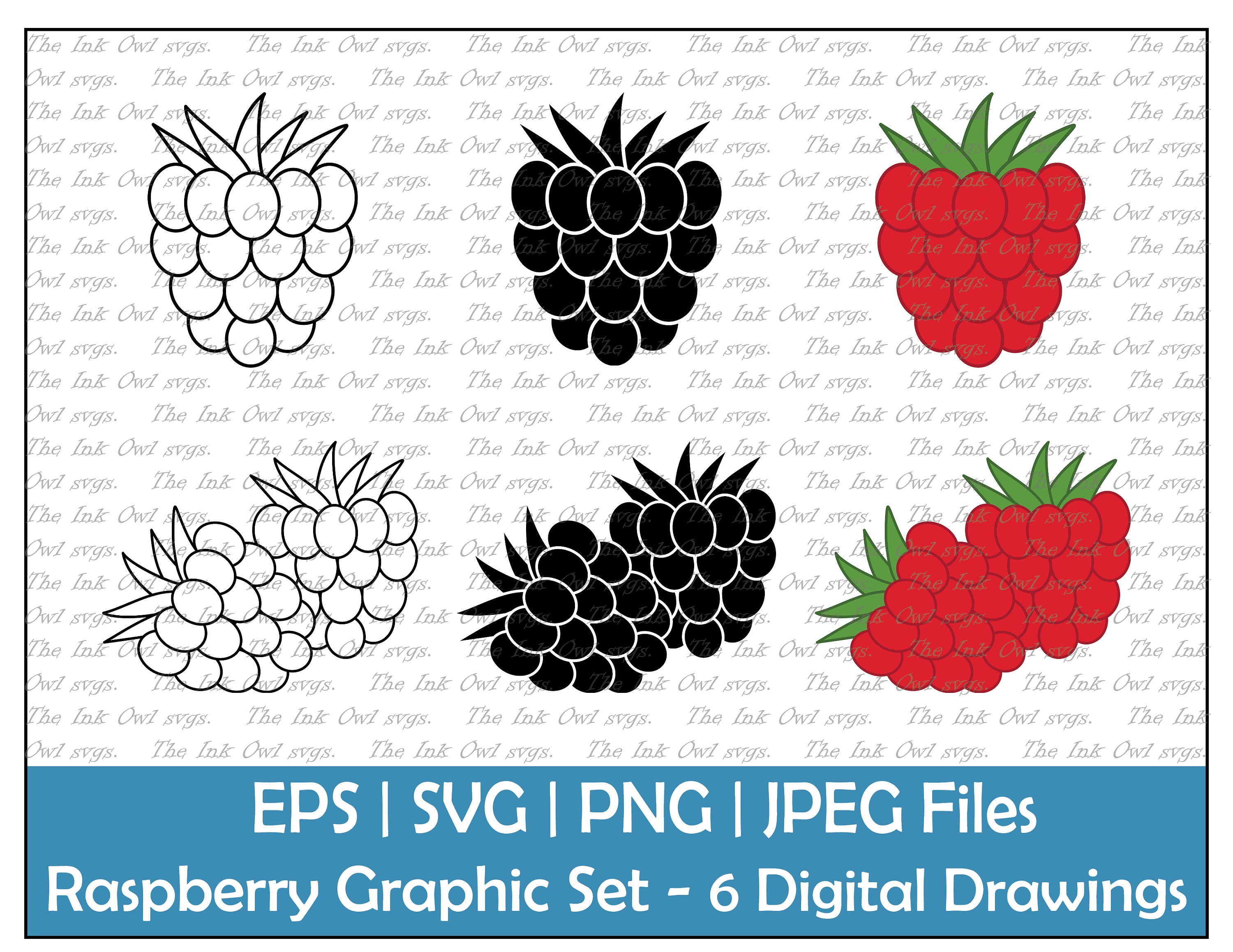 Raspberry Vector Clipart / Outline & Stamp Drawing - Etsy