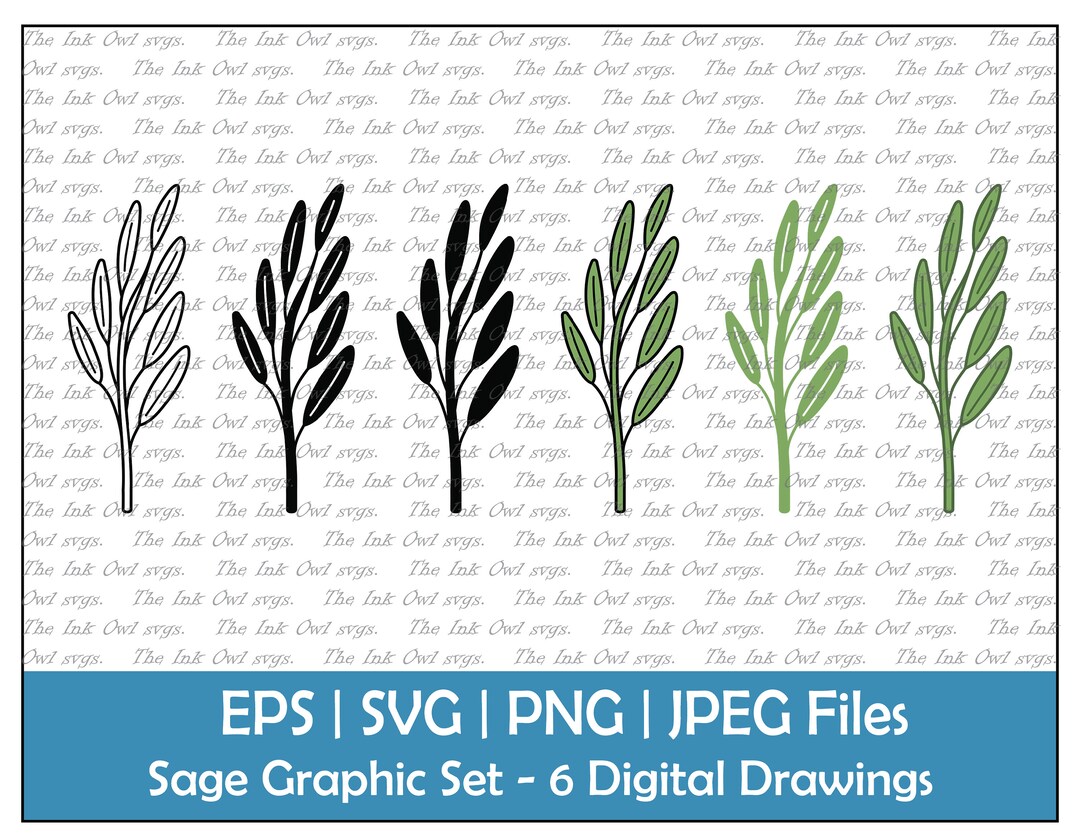 Sage Leaf Drawing Set Vector Clipart / Outline, Silhouette Stamp ...
