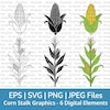 Corn Stalk. Cut Files for Cricut. Clip Art Silhouettes (eps, Svg, Pdf ...