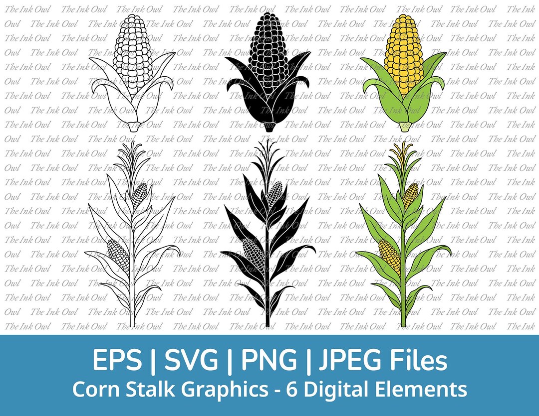 Corn on the Cob and Corn Stalk Svg Clipart / Outline, Silhouette Stamp ...